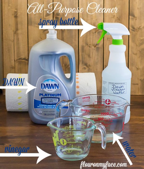 Homemade All-Purpose Cleaner - Flour On My Face