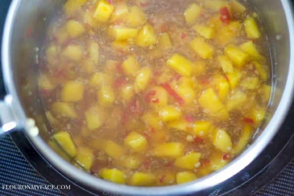 Sweet Chili Mango Sauce - Flour On My Face