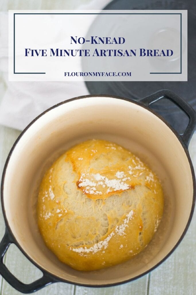 No-Knead Five Minute Artisan Bread - Flour On My Face