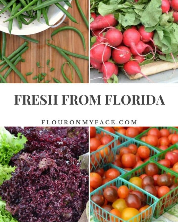 Fresh From Florida Archives - Flour On My Face