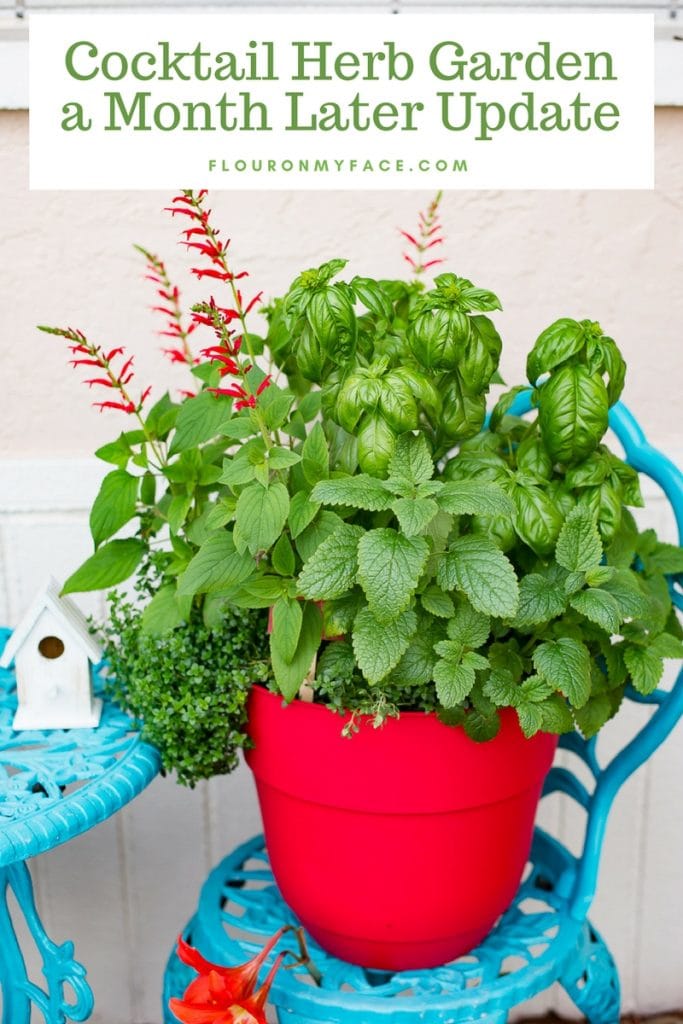 How To Grow a Cocktail Herb Garden - Flour On My Face