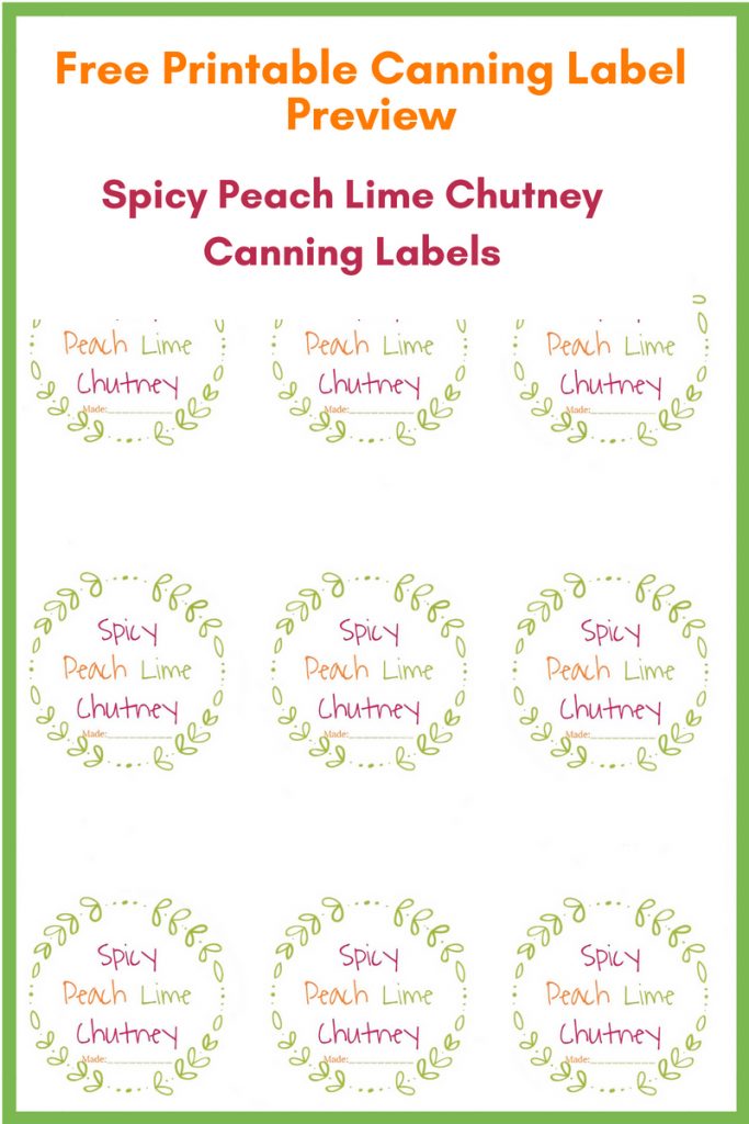 Sweet Spicy Peach Lime Chutney Recipe - Flour On My Face