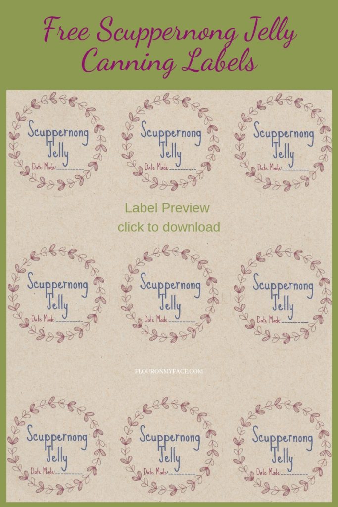 How To Make Scuppernong Jelly - Flour On My Face