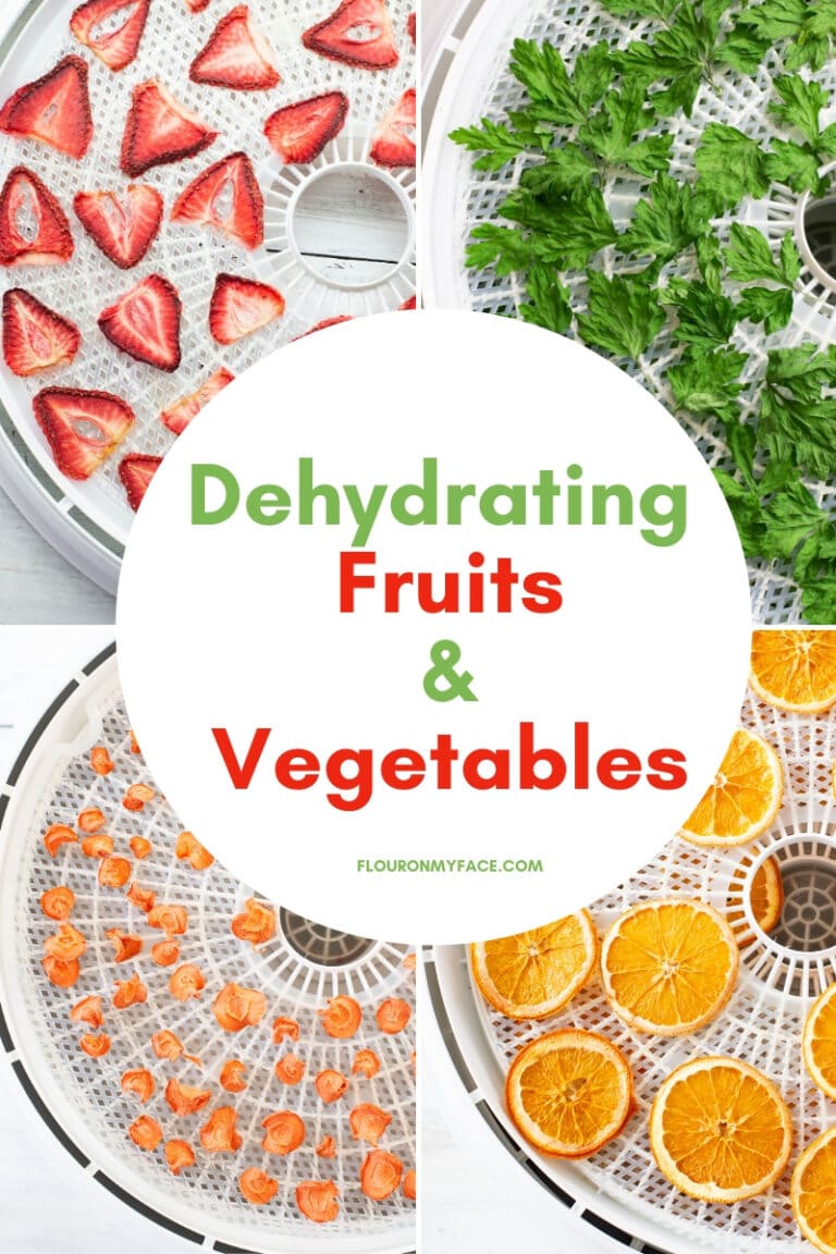 Food Dehydrator Recipes - Flour On My Face