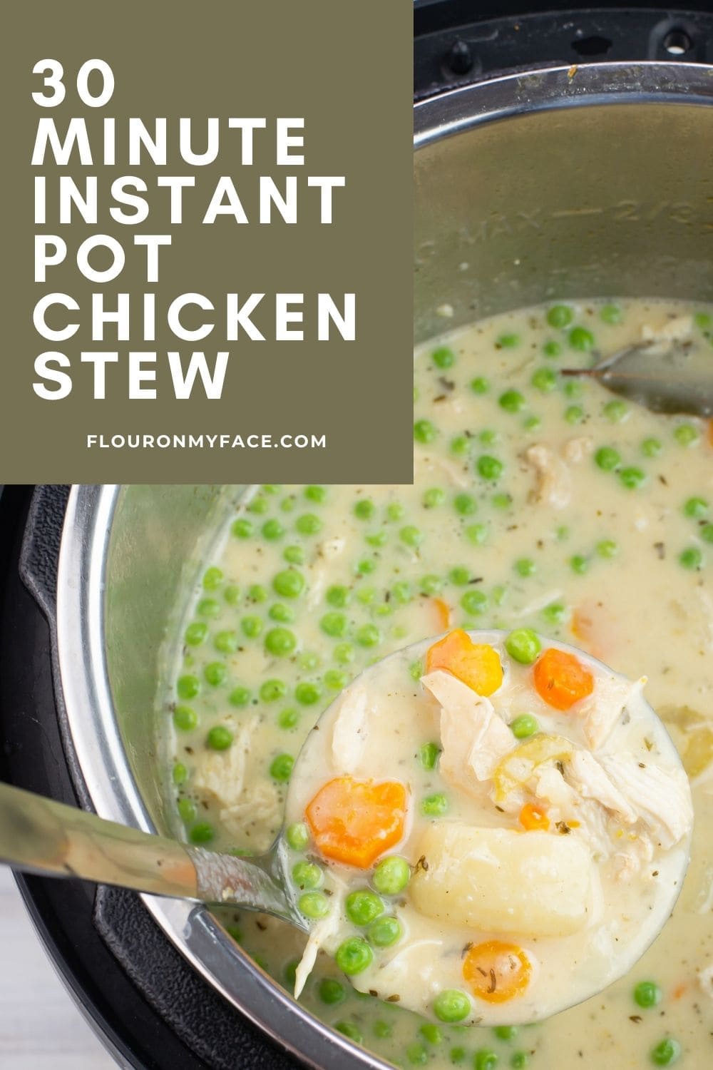 Creamy Instant Pot Chicken Stew - Flour On My Face