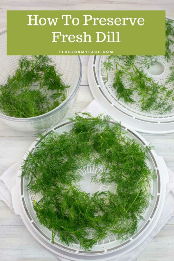 How to Dehydrate Dill - Flour On My Face