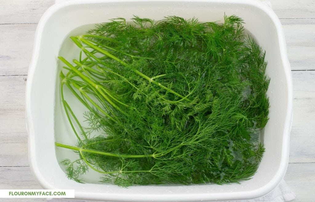 How to Dehydrate Dill - Flour On My Face