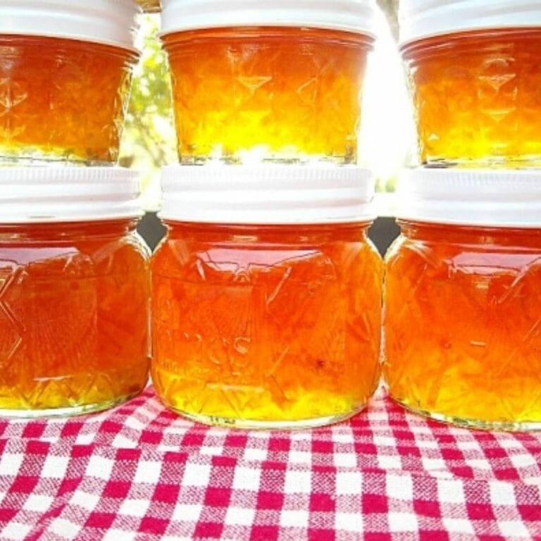 Citrus Marmalade Recipe - Flour On My Face