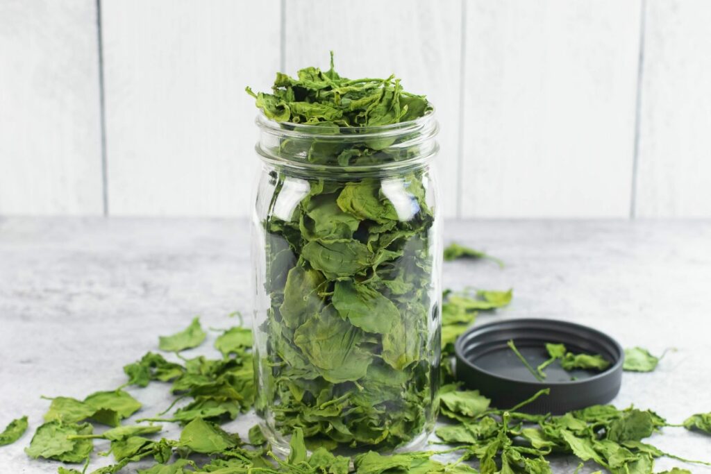How to Dehydrate Spinach - Flour On My Face