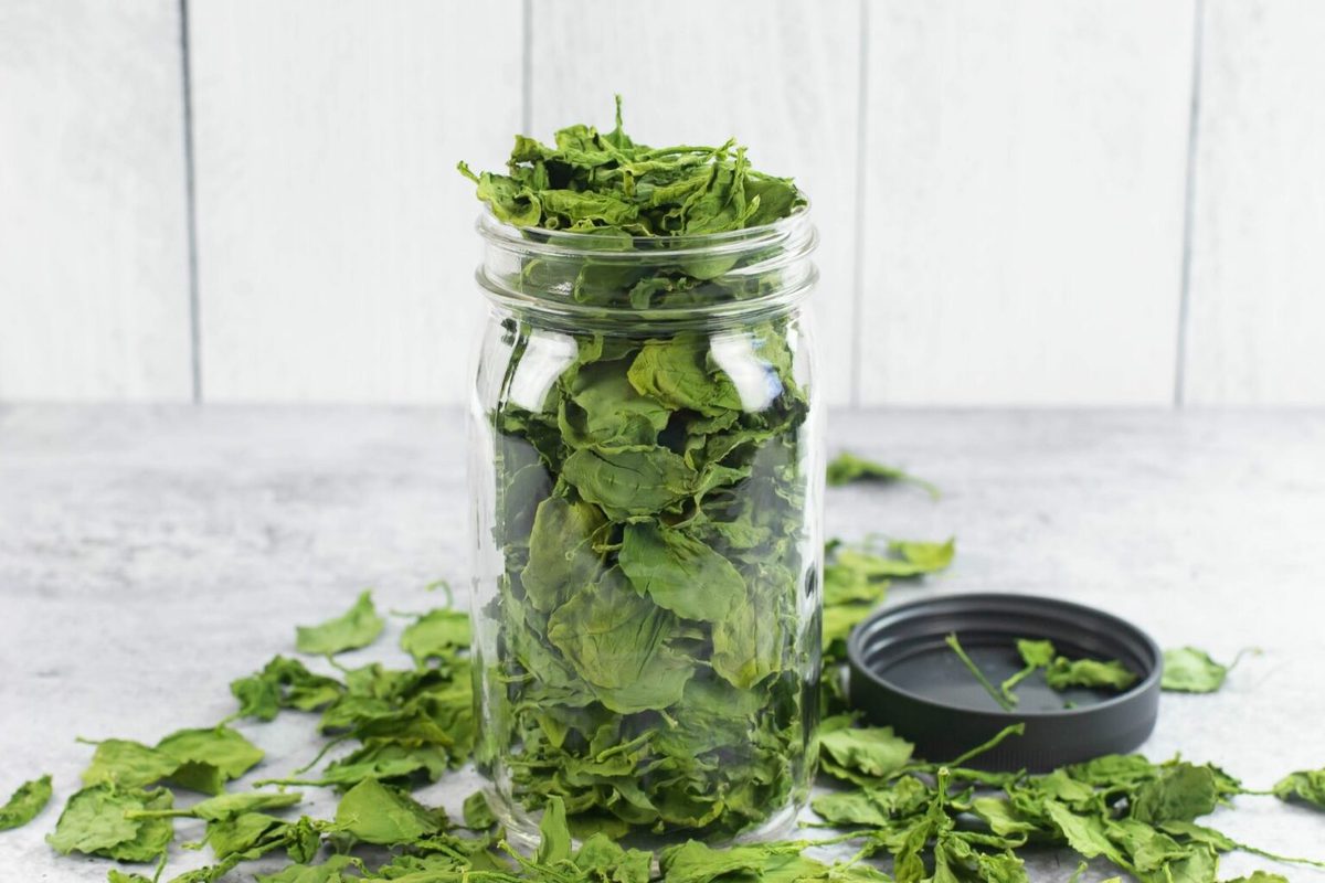 How to Dehydrate Spinach - Flour On My Face
