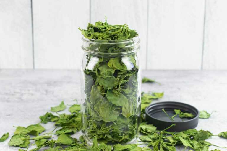 How to Dehydrate Spinach - Flour On My Face