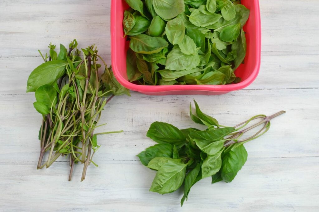How to Dehydrate Basil - Flour On My Face