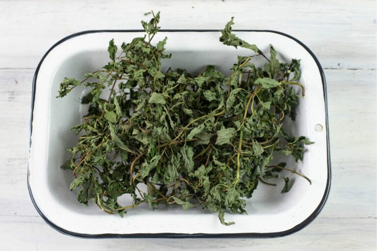 How to Dehydrate Mint - Flour On My Face