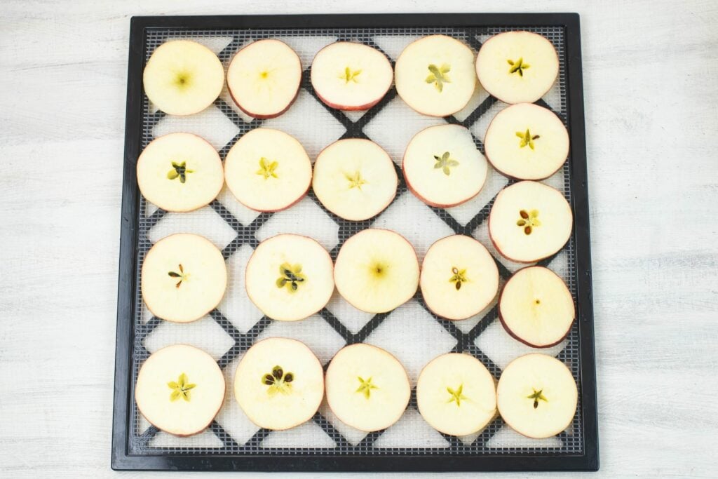 How To Dehydrate Apple Slices - Flour On My Face