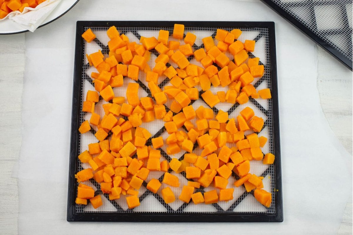 How to Dehydrate Butternut Squash - Flour On My Face