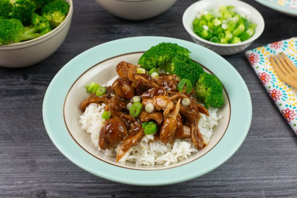 Instant Pot Chicken Adobo - Flour On My Face