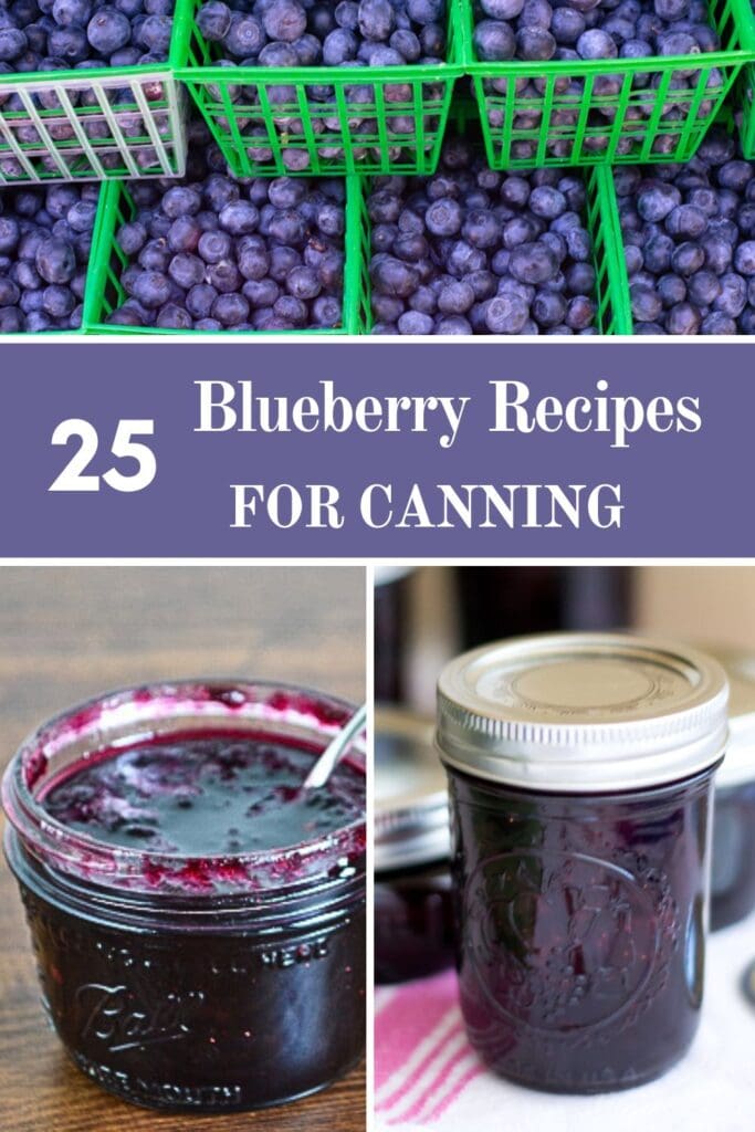Blueberry Recipes for Canning - Flour On My Face