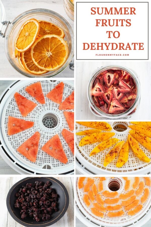 Dehydrated Fruit Recipes - Flour On My Face