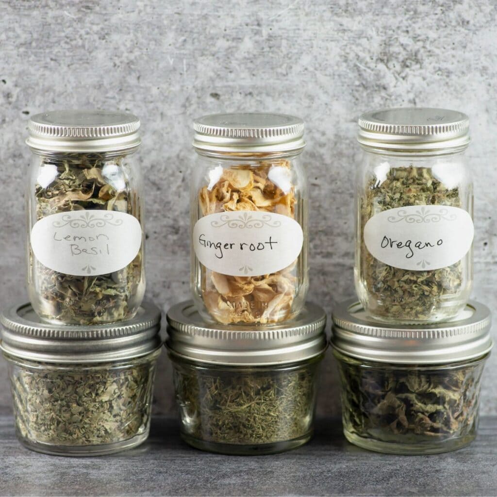 How to Dehydrate Lemon Basil - Flour On My Face