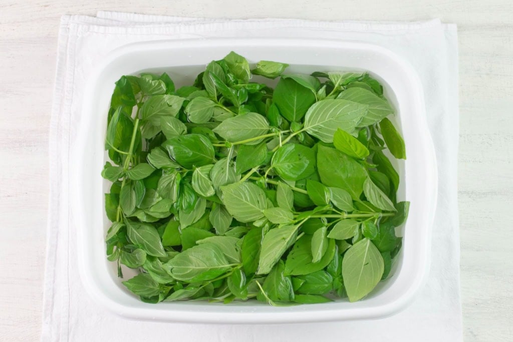 How to Dehydrate Lemon Basil - Flour On My Face